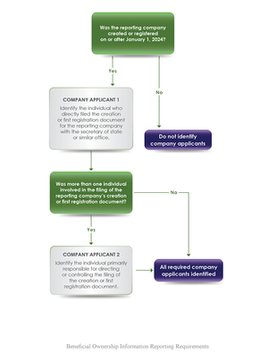 BOI Informational and Step-by-Step Filing Guide — Bell & Company — Bell ...