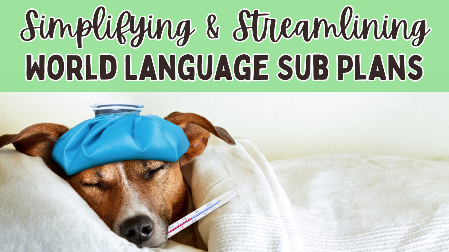 Simplifying World Language Sub Plans: A Guide to Streamlining for ...