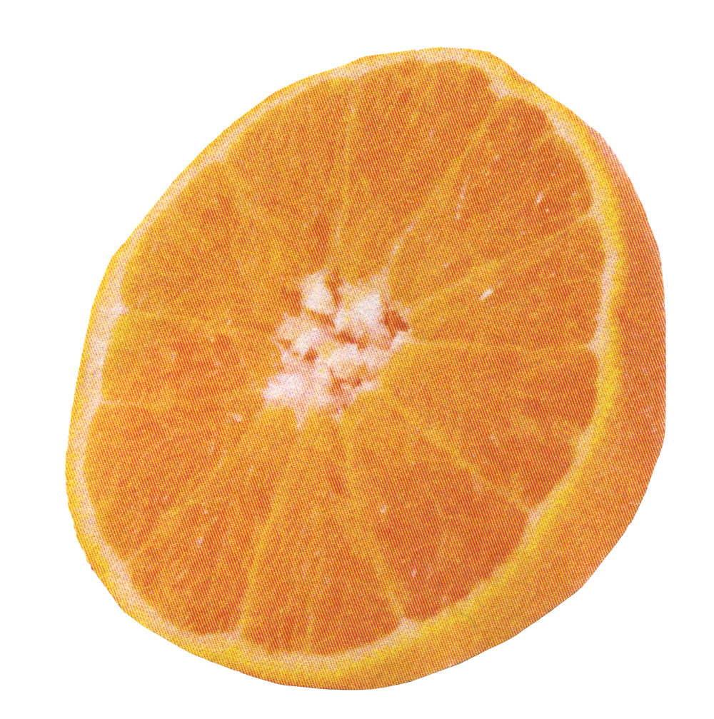 RecCreate Collective