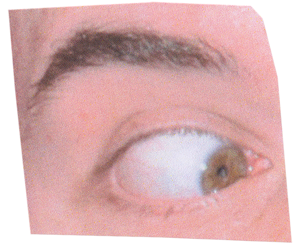 RecCreate Collective