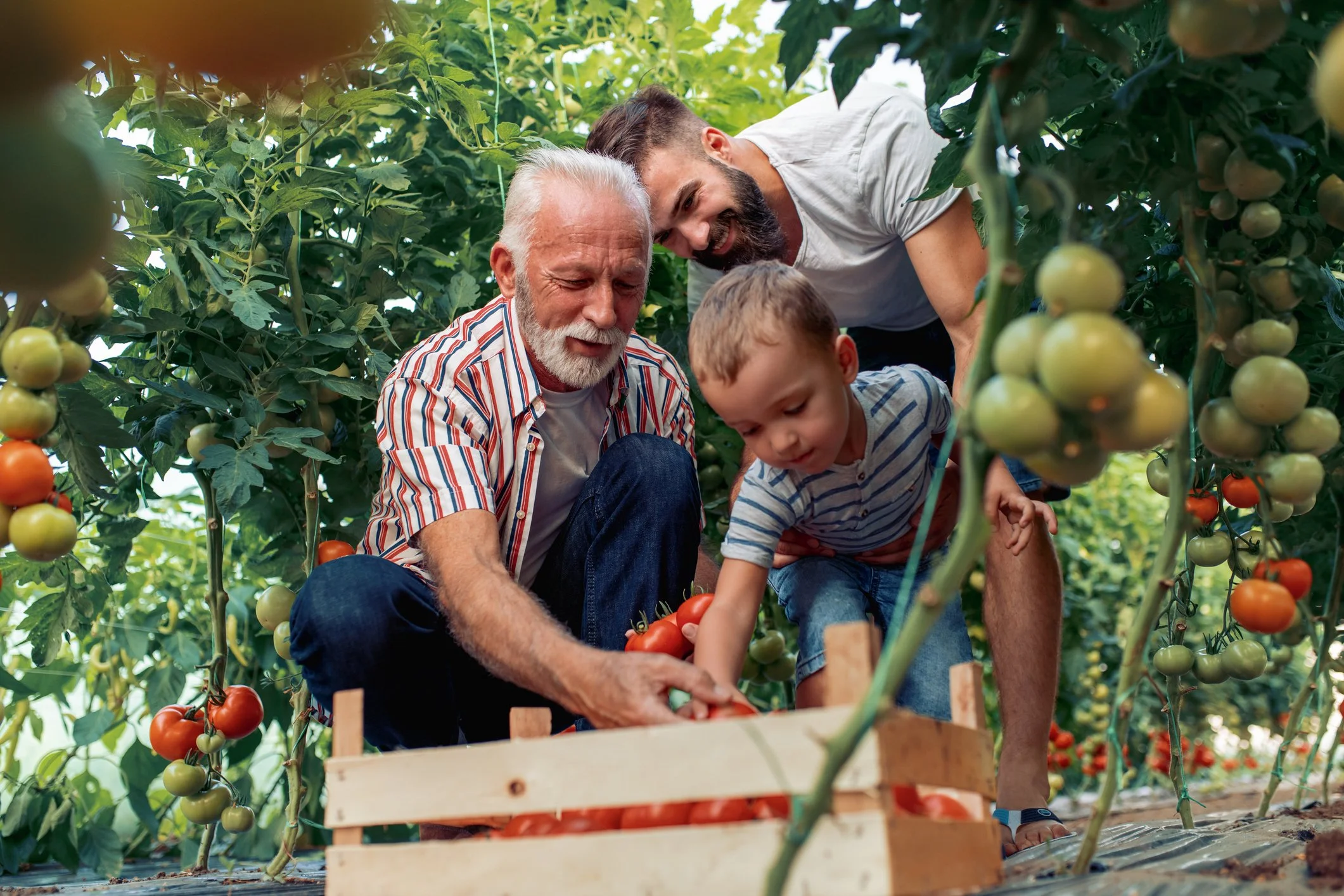 Celebrate Children Foundation | Building Strong Children and Families ...