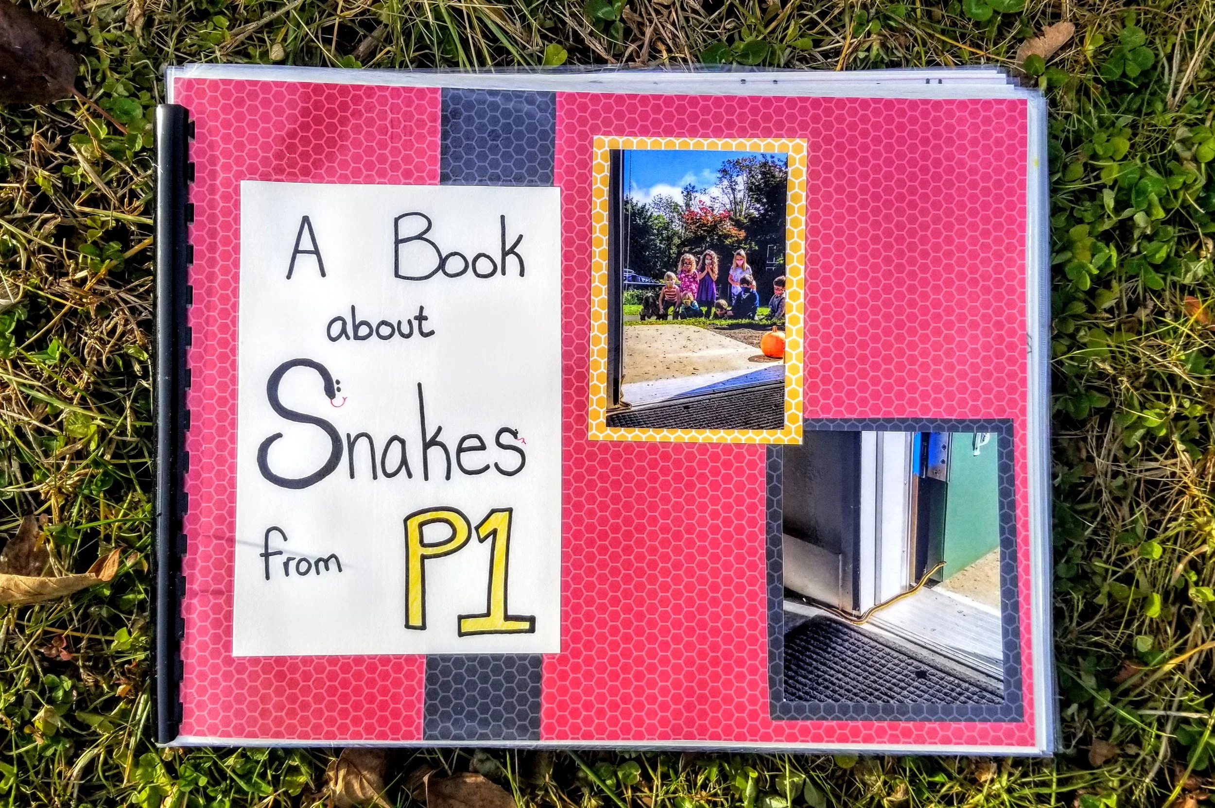 Primary | Enhance Learning Today — The Common School