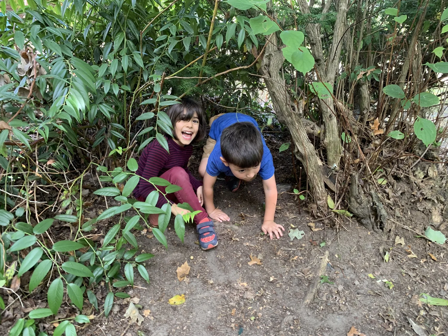 Summer & Auxiliary Programs — The Common School