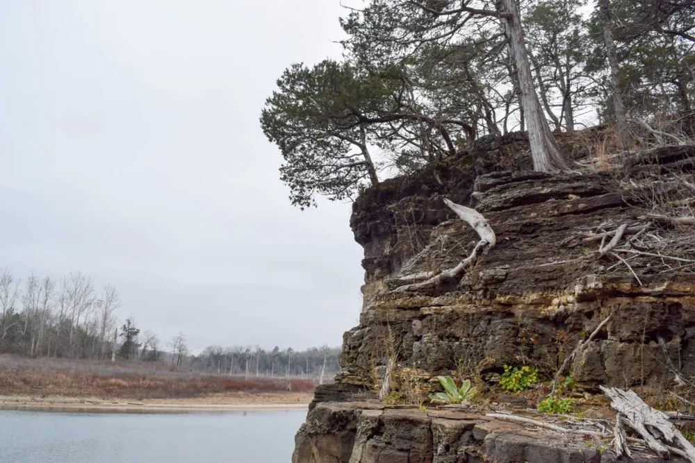 Our Land | Experience Sustainable Living Now — East Wind Community