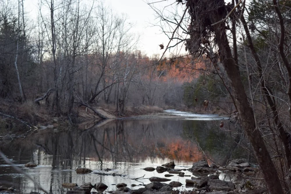 Our Land | Experience Sustainable Living Now — East Wind Community