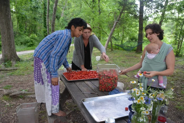 Our Labor System | Discover Collaborative Living Now — East Wind Community