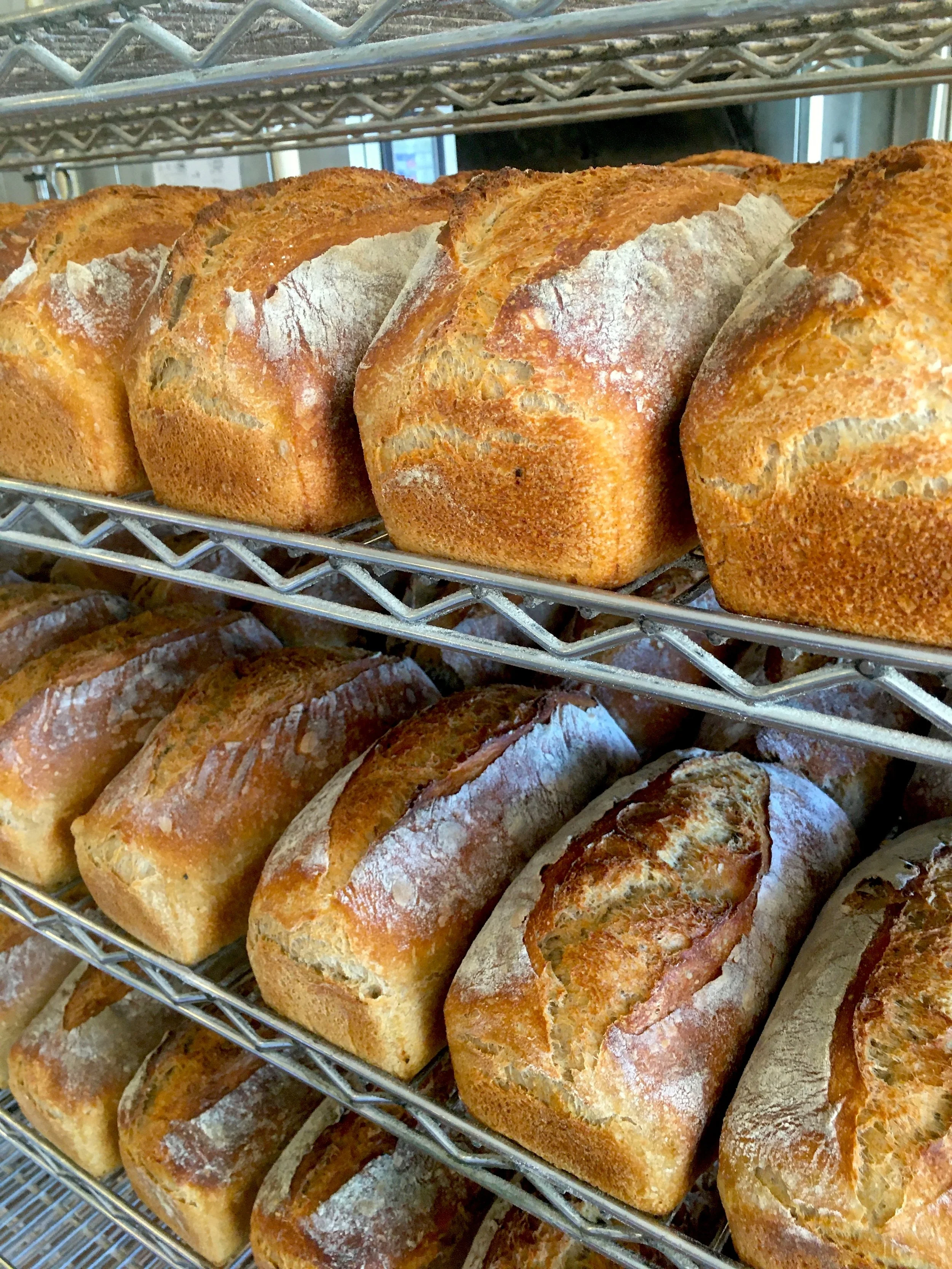 Companion Bakeshop