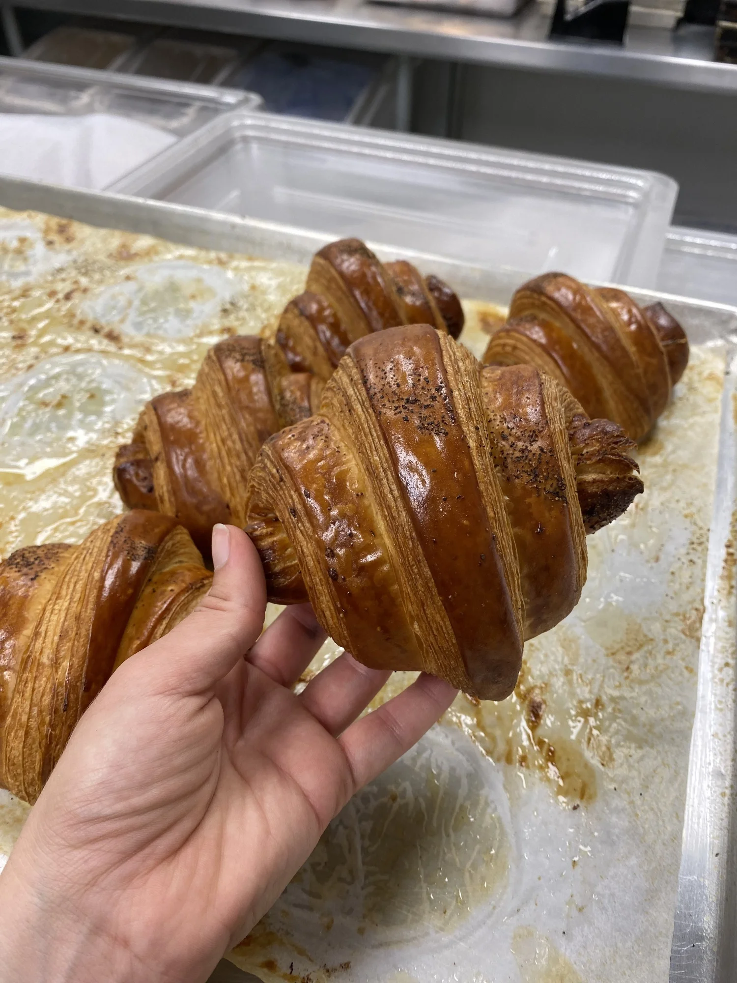 Our Menu — Companion Bakeshop