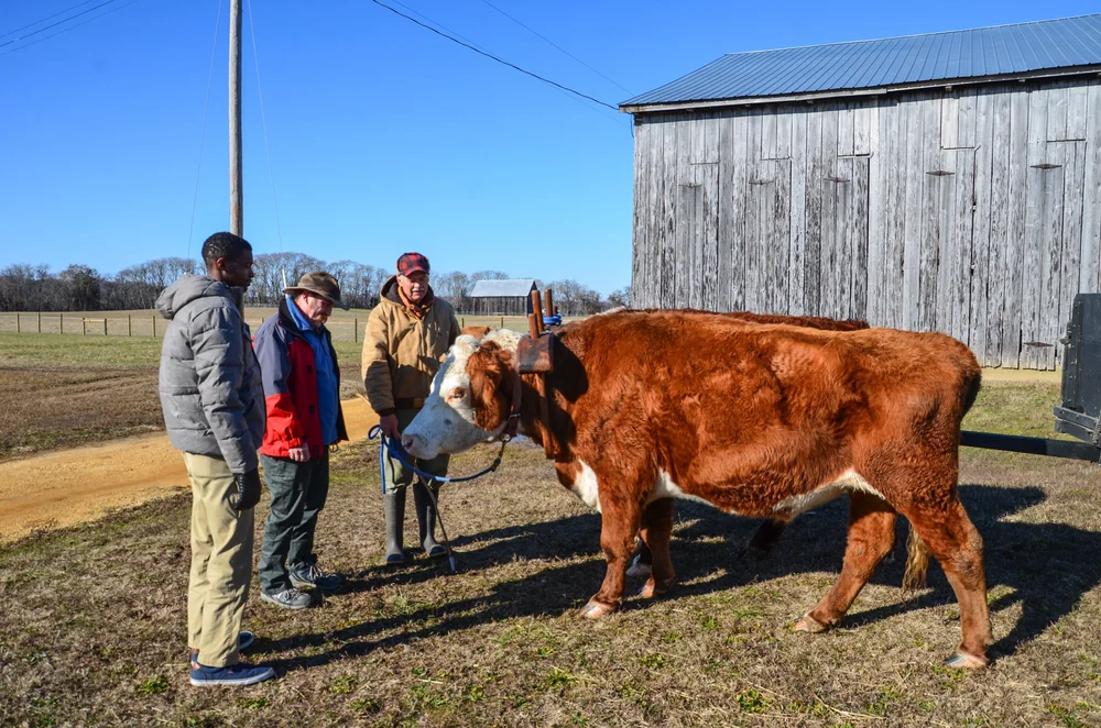 Gallery 3 — Paris Farm Meats