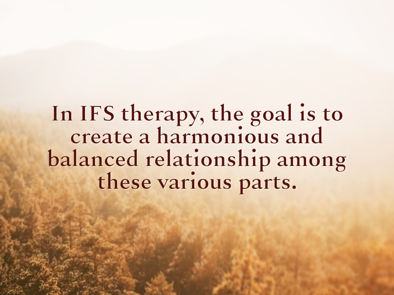 What is IFS? — Skyler Wilds