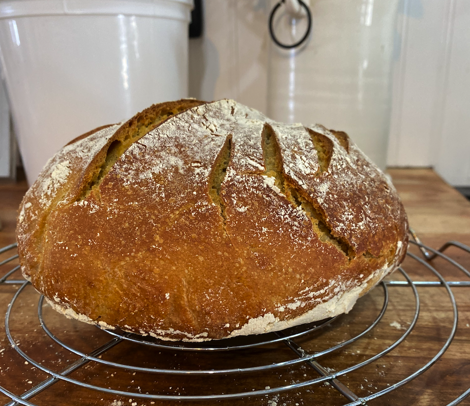 Baking with Einkorn: How to Use This Ancient Grain for Better Health ...