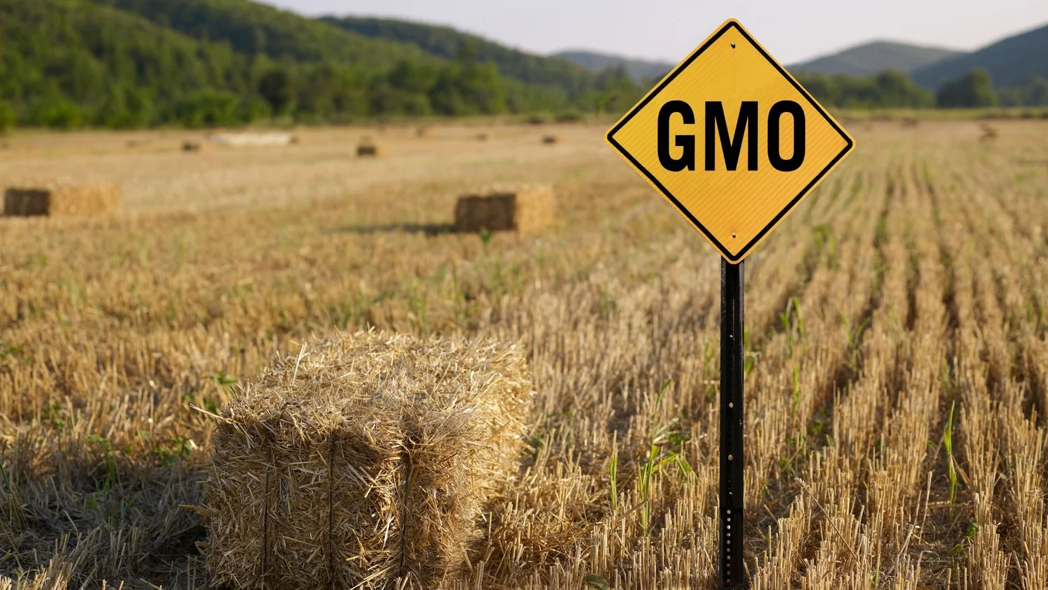 The Hidden Toxins in GMO Crops: What You Need to Know — The Little ...