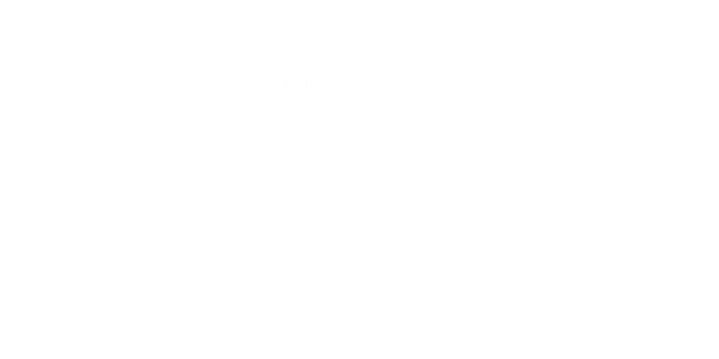 How the Ear Works