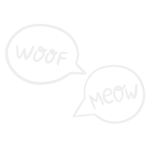 Glacier Pet Sitters | Best Pet Care Near Glacier National Park