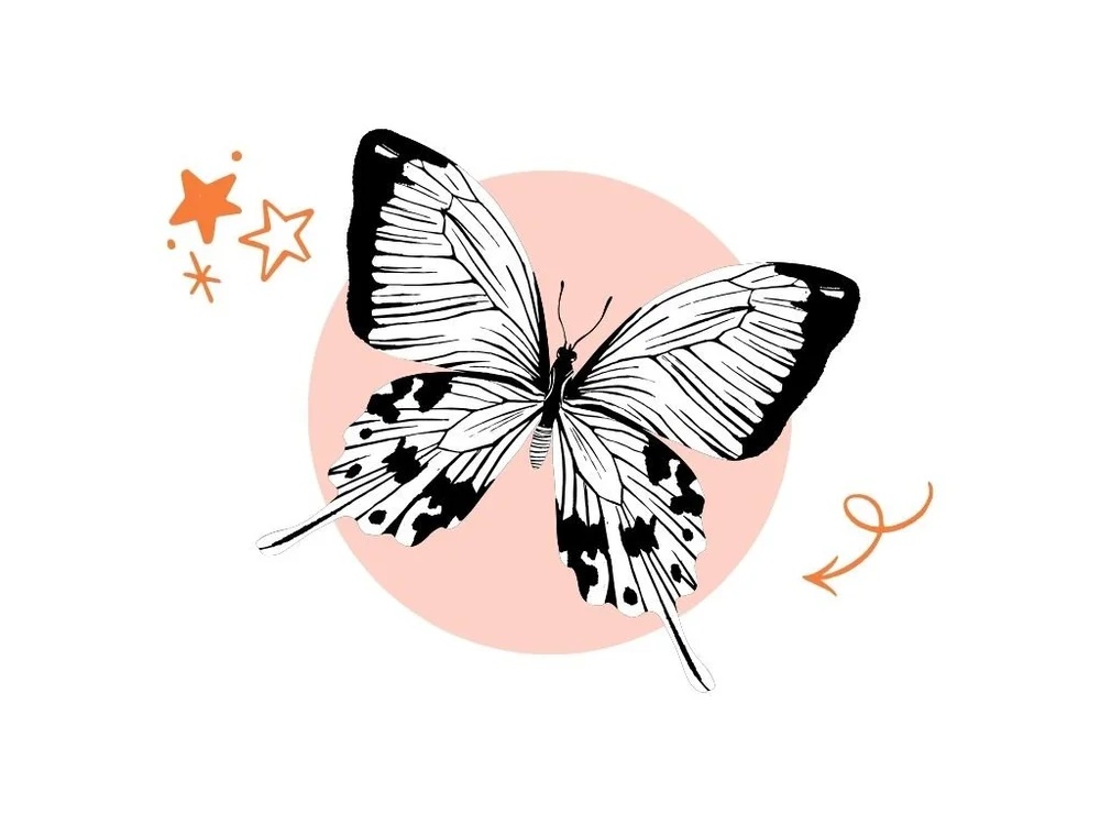 Metamorphosis: The Great Bug Transformation — Lincoln Kids
