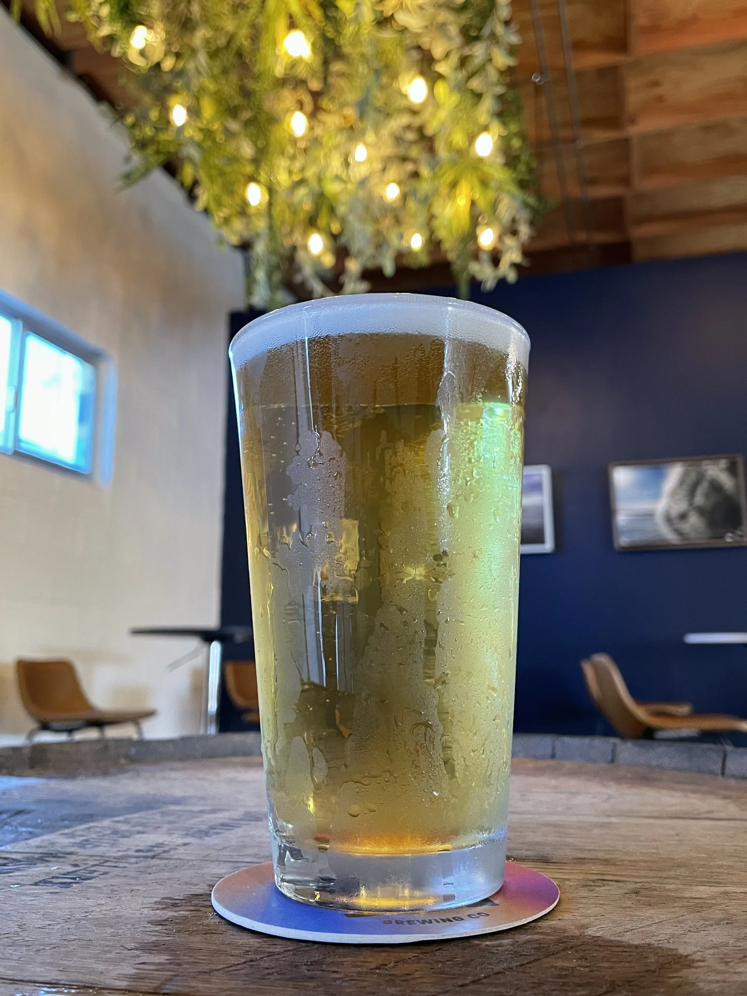 Five Point Five Brewing Co