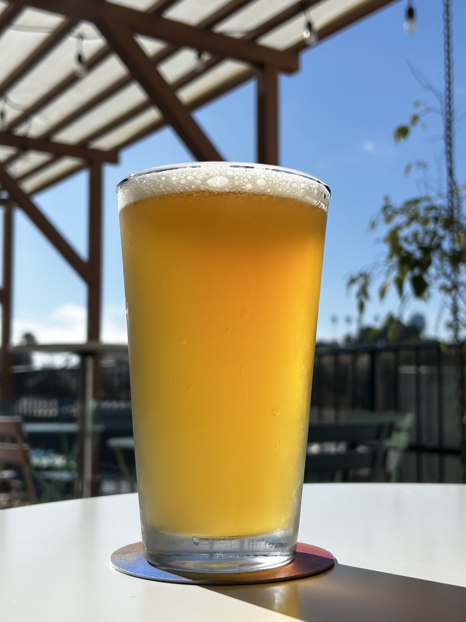 Five Point Five Brewing Co