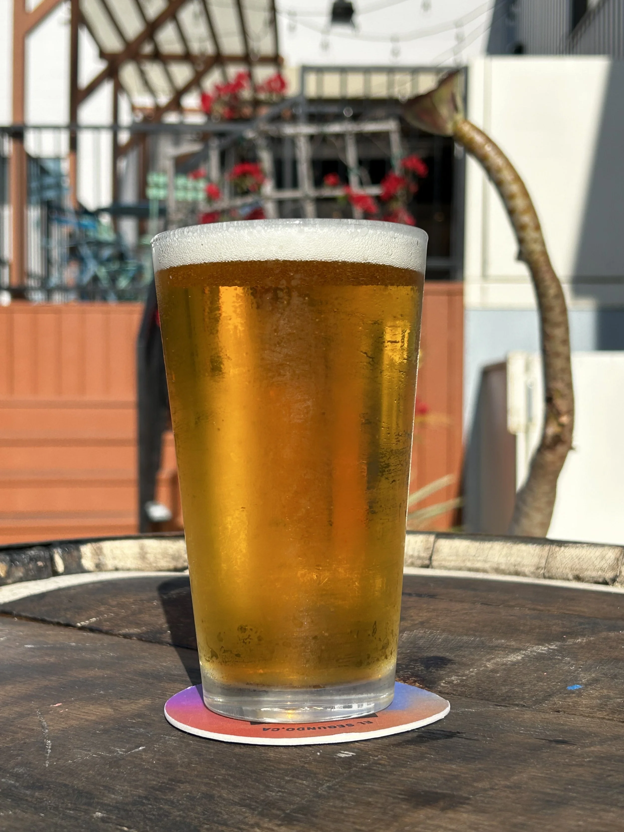 Five Point Five Brewing Co