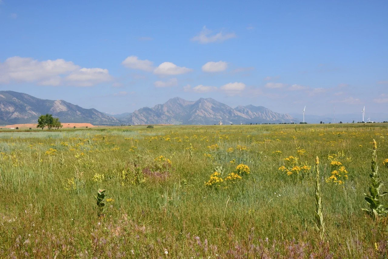Metro Denver Nature Alliance