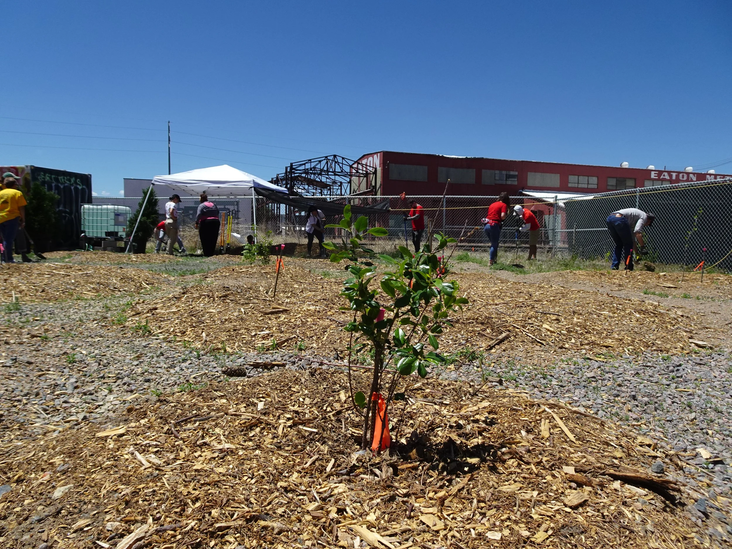 Tierras Verdes — Metro Denver Nature Alliance