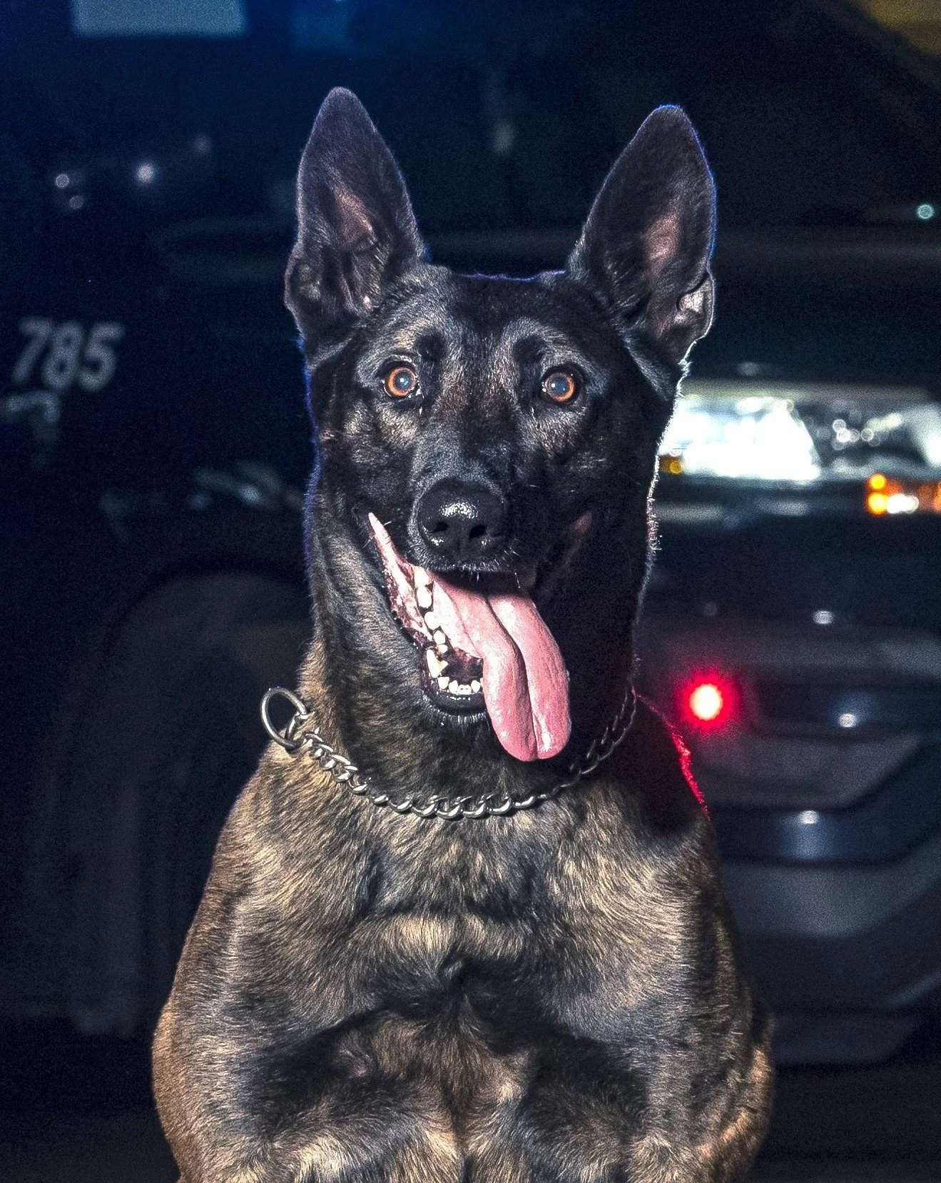 Meet Our K9s — KCPD K9 Friends