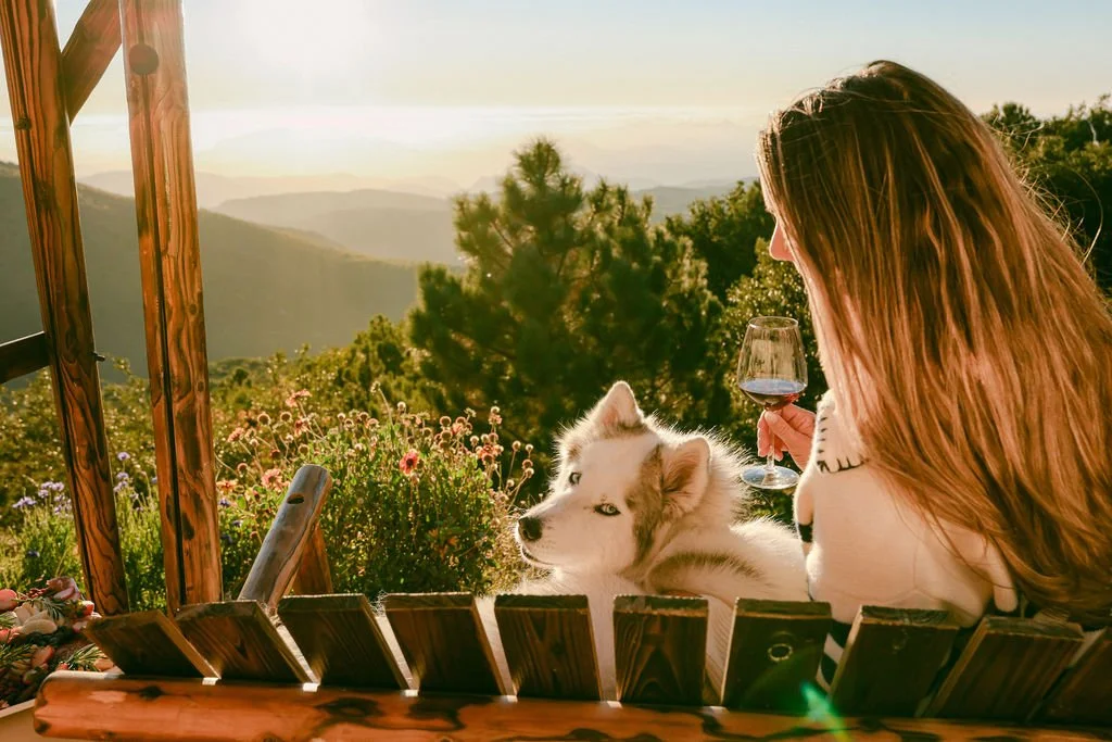 Wild Moon Ranch | Luxe Mountain Cabin Near Julian w/ Pickleball, Cedar ...