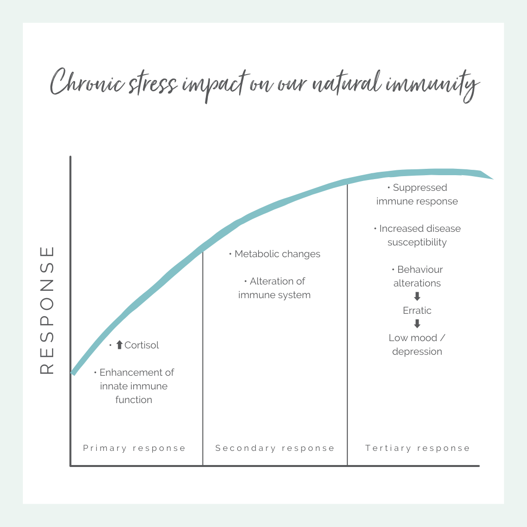Chronic Stress vs Natural Immunity — Tanya Borowski Ltd