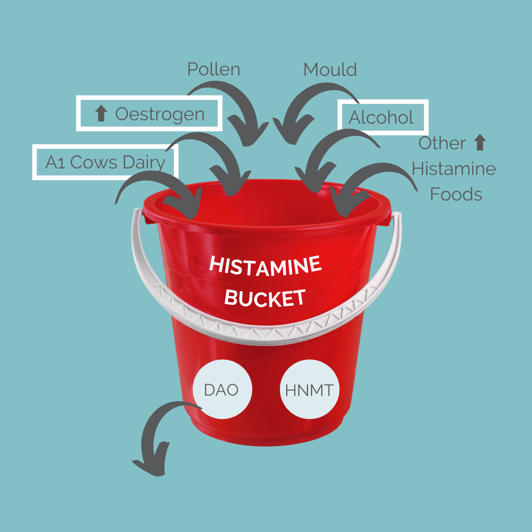 Histamine — Tanya Borowski Ltd