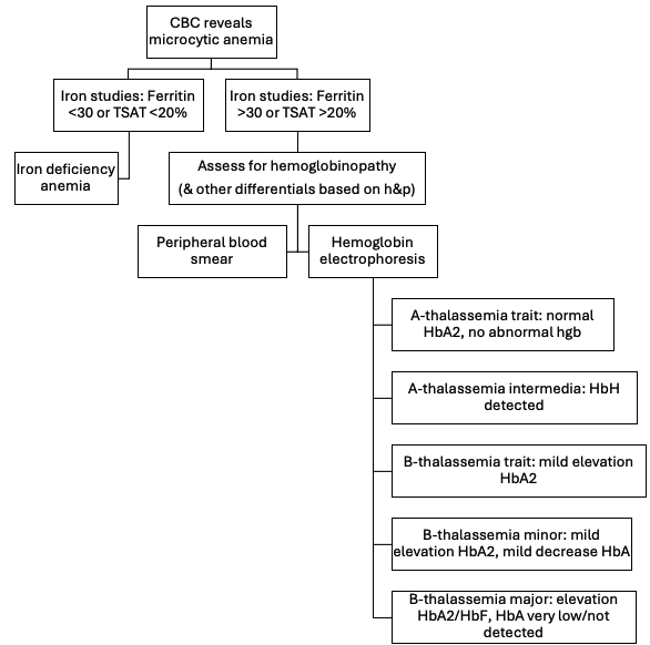 Lab test interpretation for nurse practitioners: Thalassemia — NP Reasoning