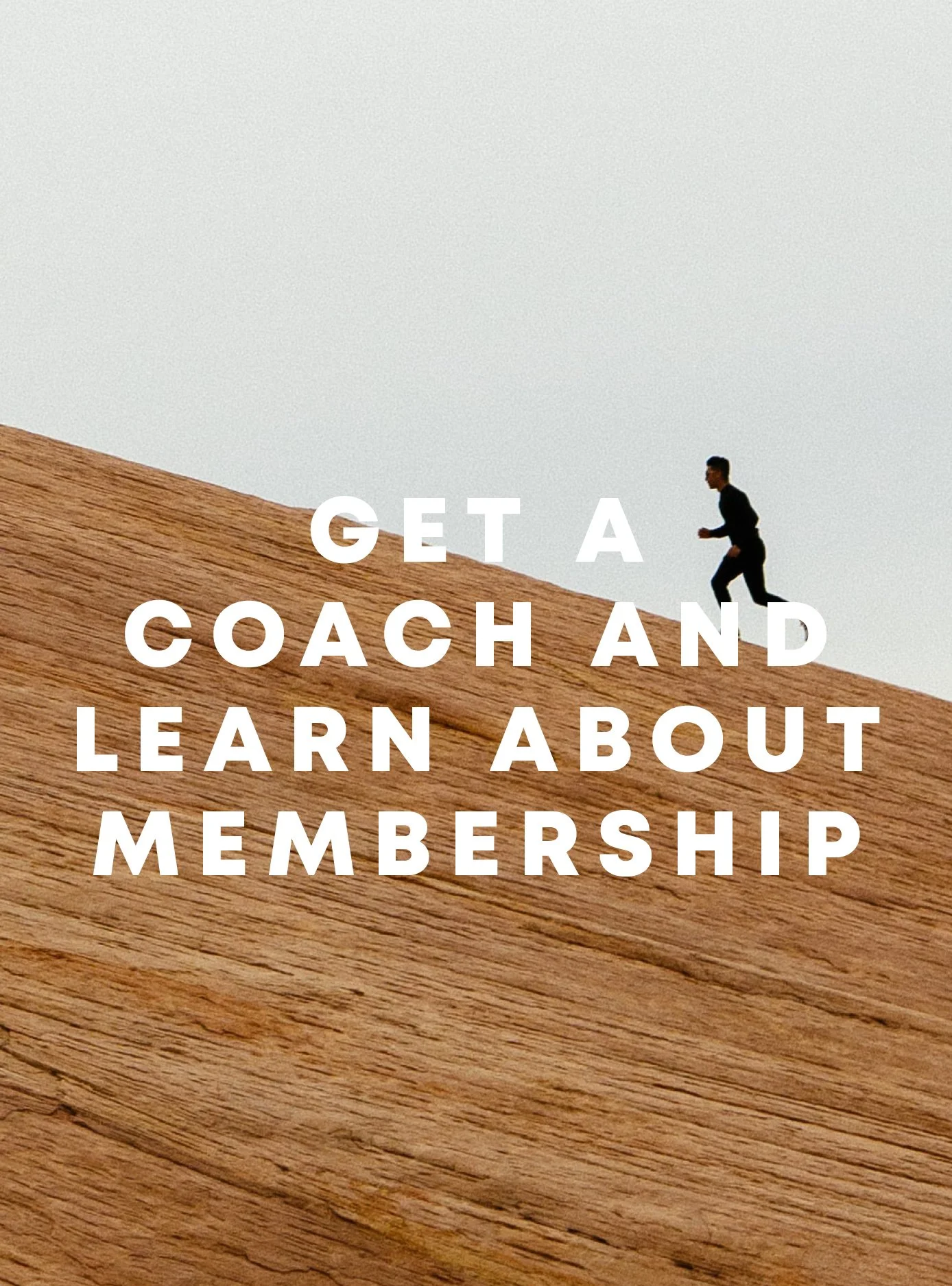 Lead Coaching — LEAD222