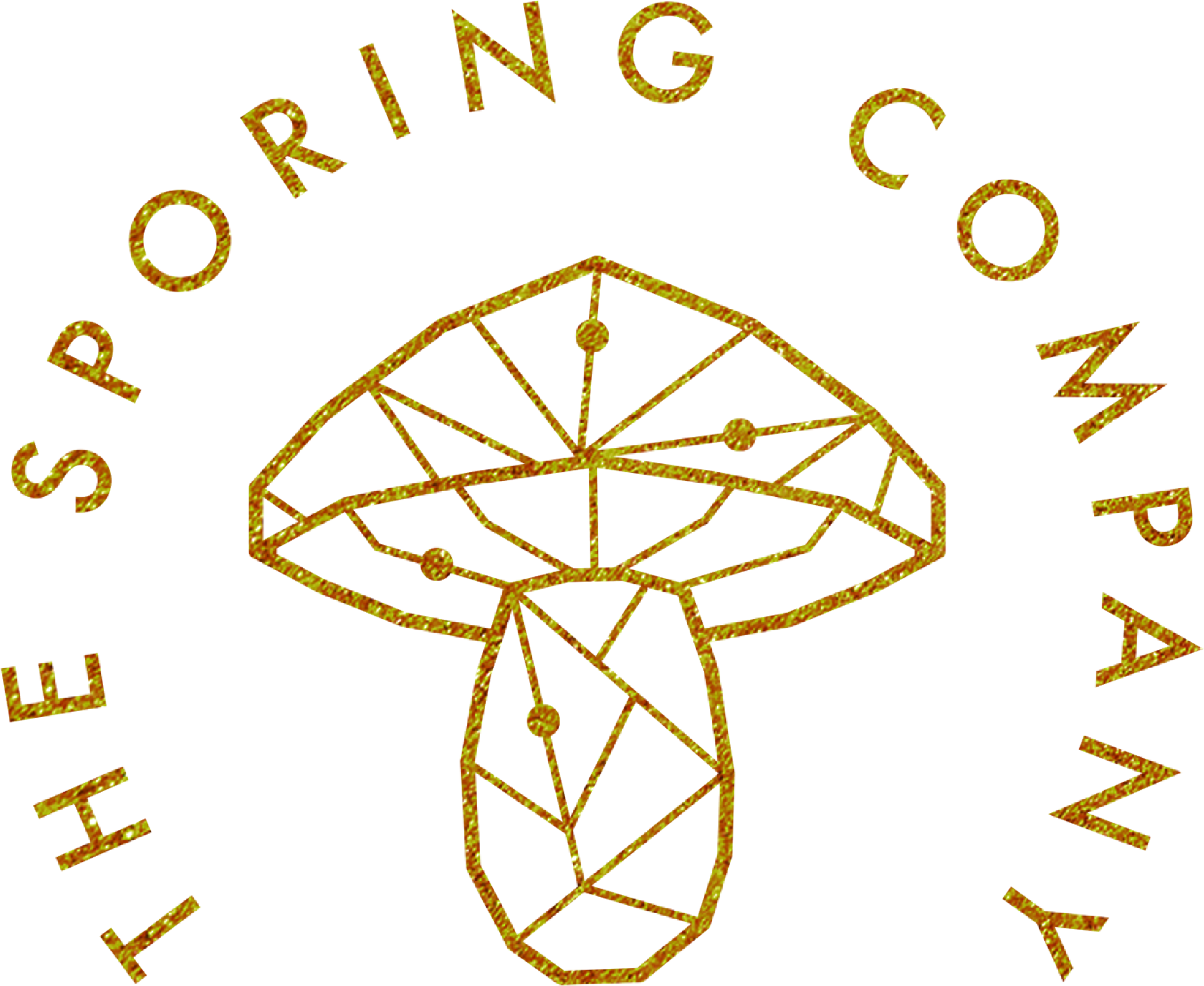 Portfolio — yknott