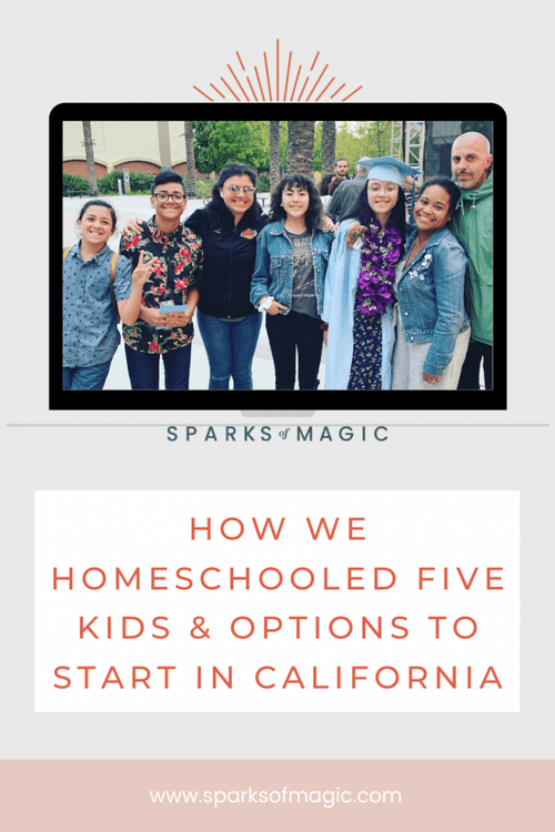 How We Manage Homeschooling Five Kids Plus Some Options to Get Started ...
