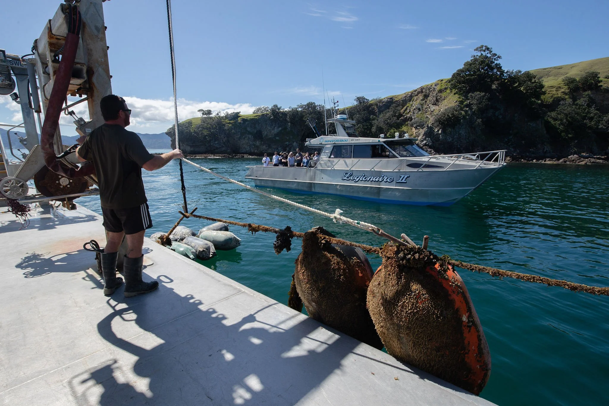 GreenWave | Our Work