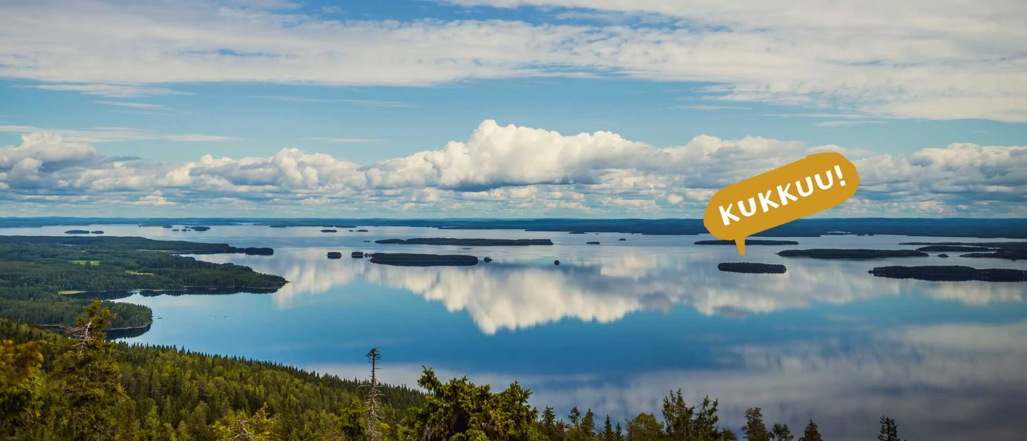 Referenssit — Ratkaisutoimisto Kukkuu oy