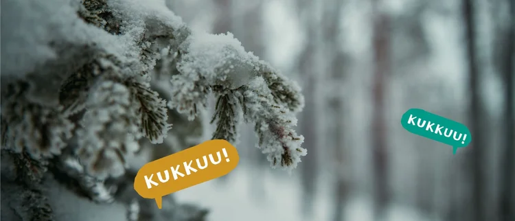 Viestintätoimisto Kukkuu Oy