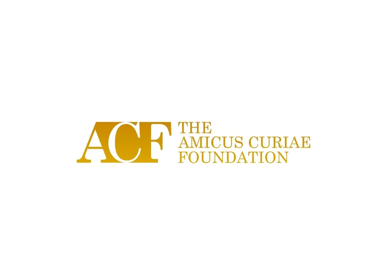 Amicus Curiae Foundation
