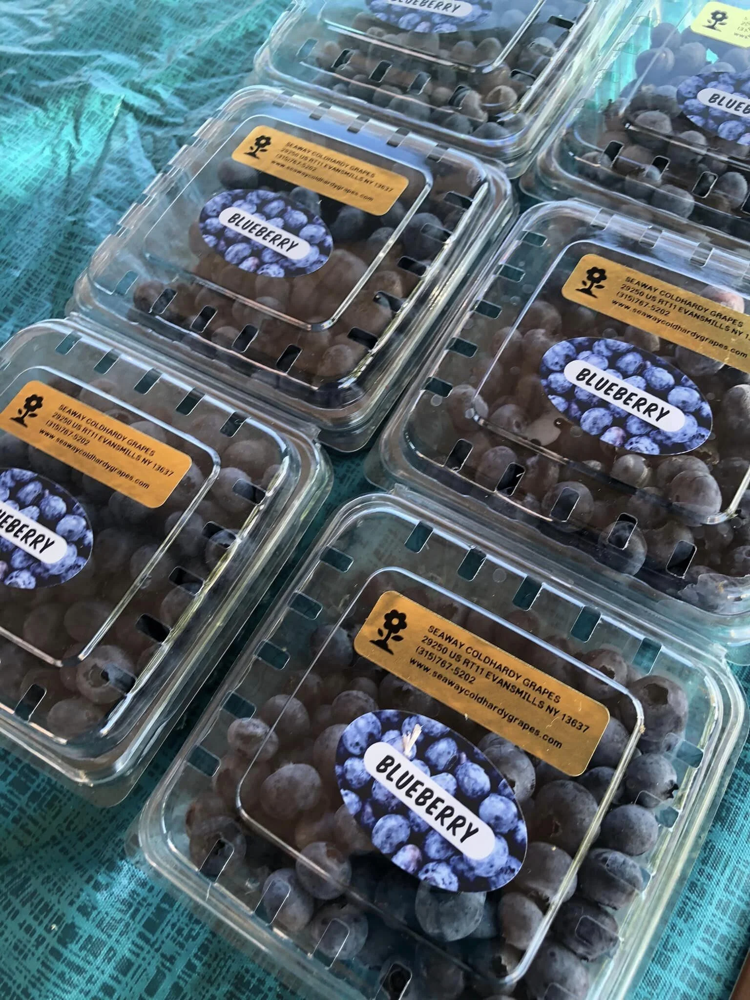 Our Farmers and Producers — Watertown Saturday Farmers Market