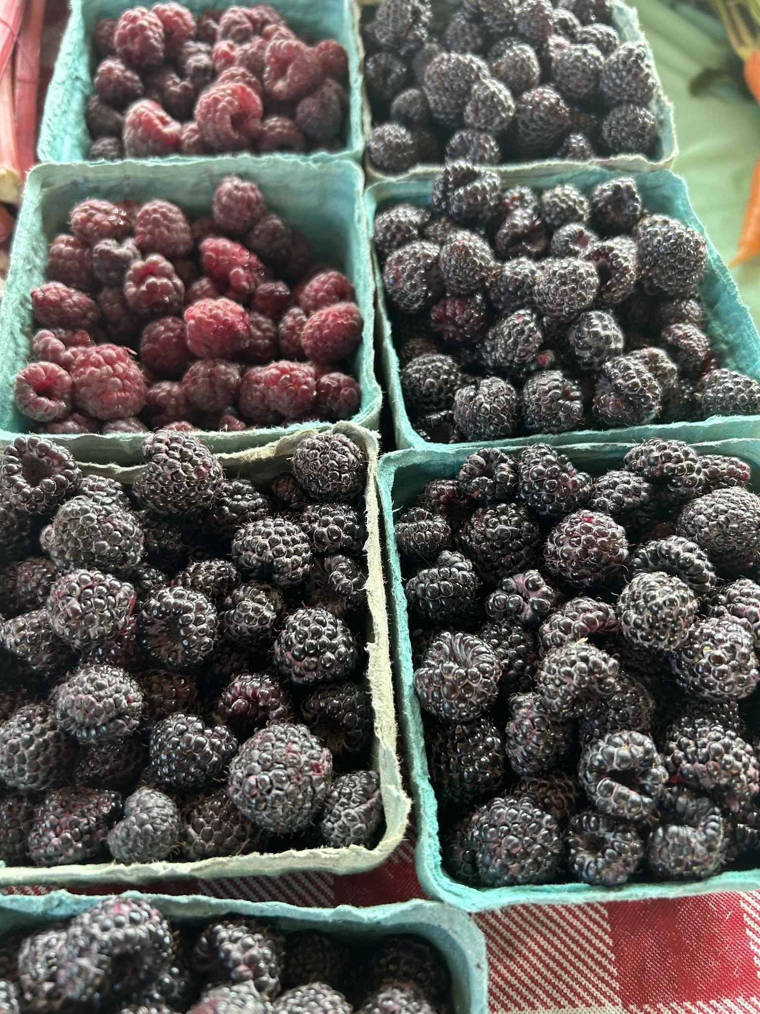 Our Farmers and Producers — Watertown Saturday Farmers Market