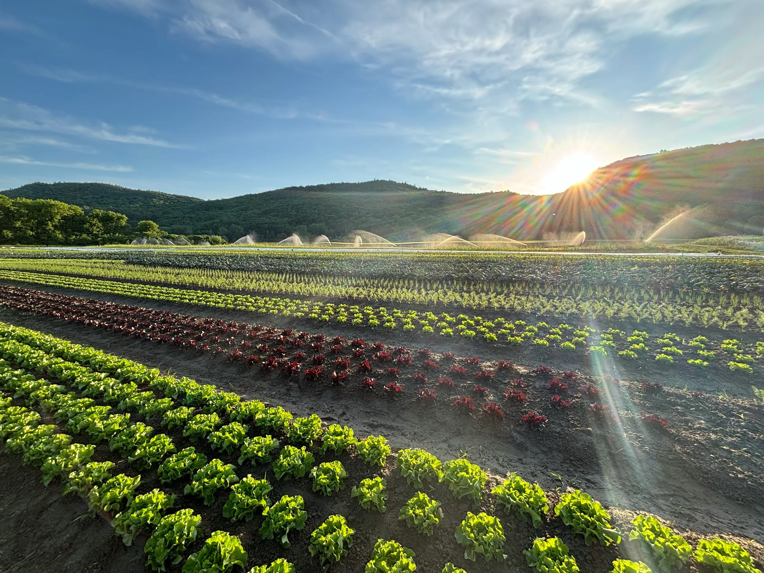Our Story — Farm on the River