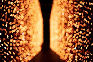 The Hive Collaborative