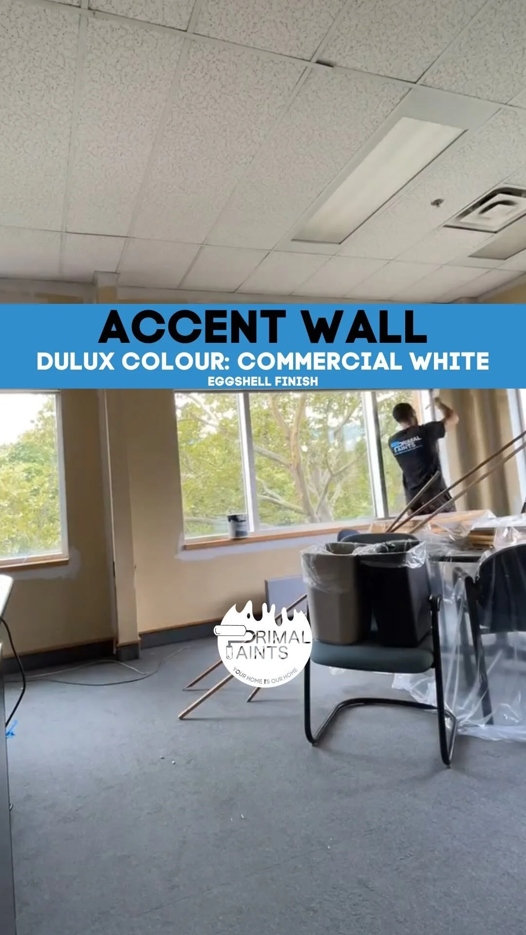 Primal Paints / Interior and Exterior Painting Services