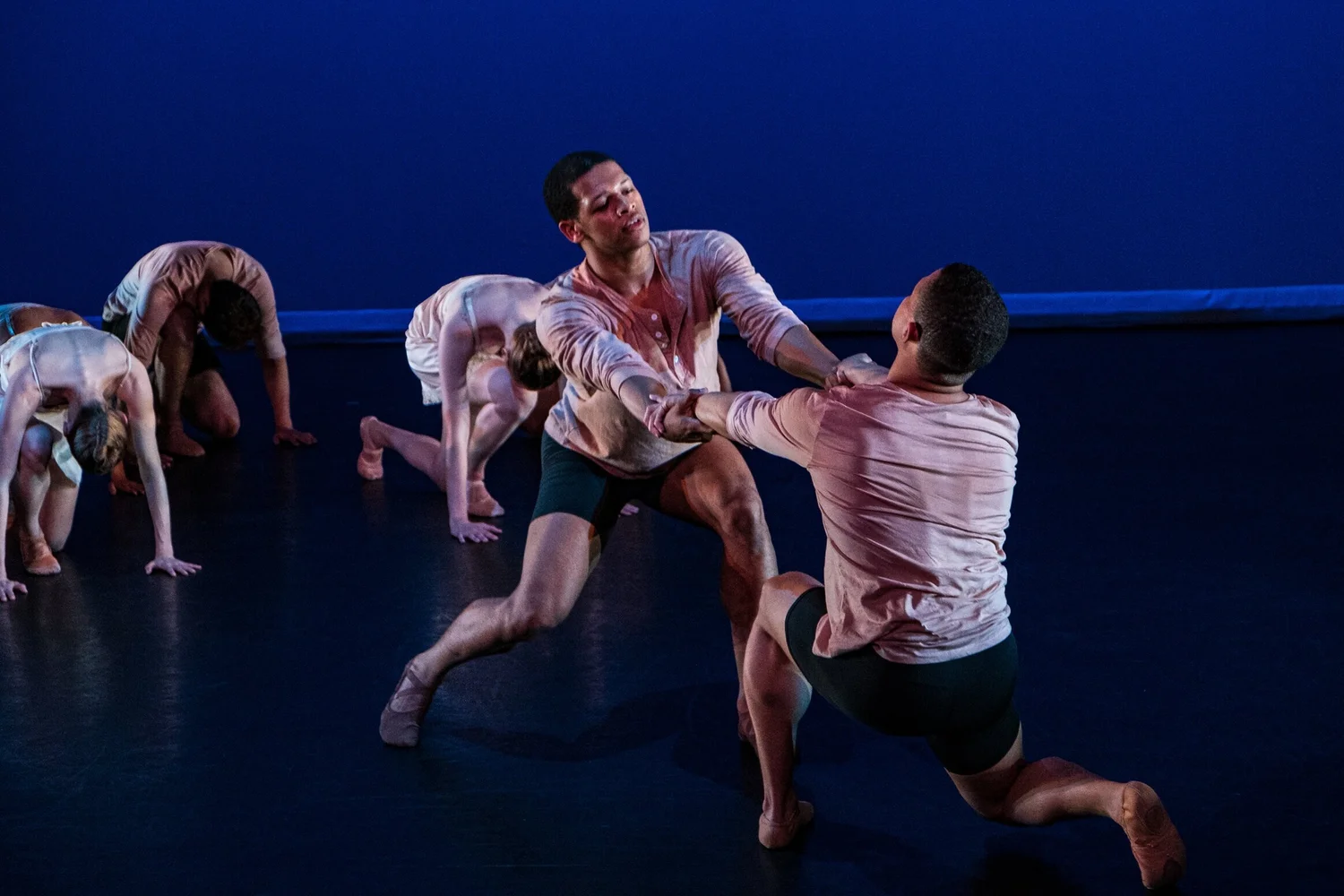 Artist Spotlight: Lydia Johnson Dance — Maplewood Arts & Culture