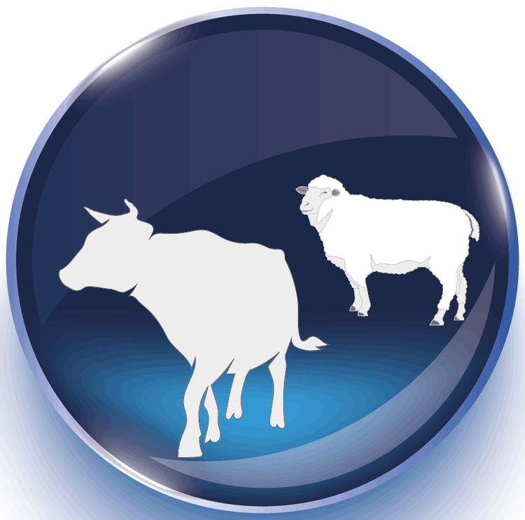 Slaughterhouse Equipment and Systems | Turnkey Solutions