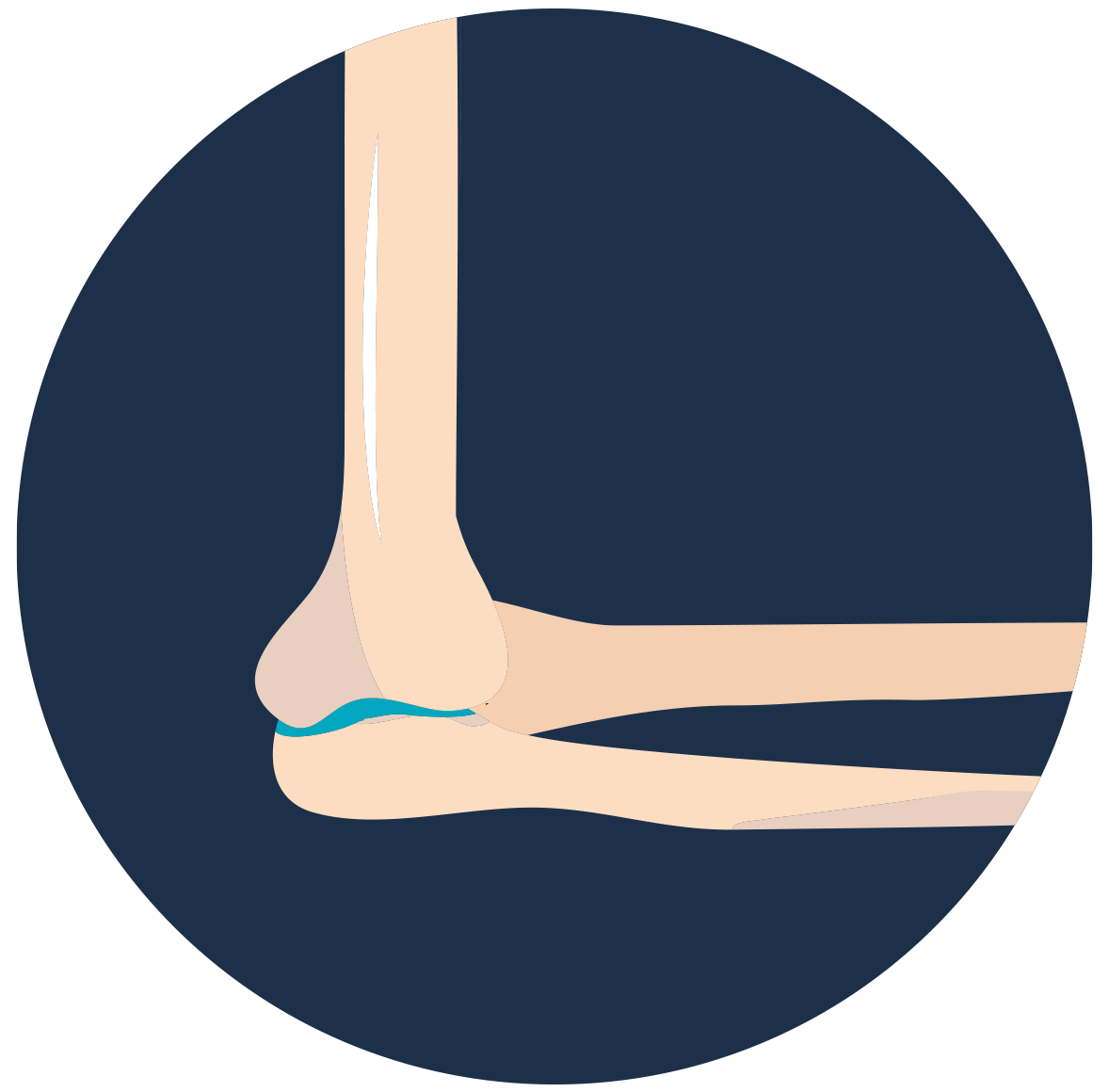 Dr Simon Lau | Orthopaedic Shoulder Wrist Elbow Surgeon Melbourne