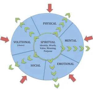 The Whole Person Wheel | Chicago, IL | White Stone Counseling Resources