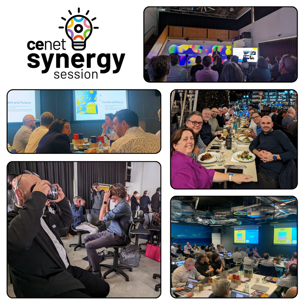 Synergy Session 2024 — CEnet