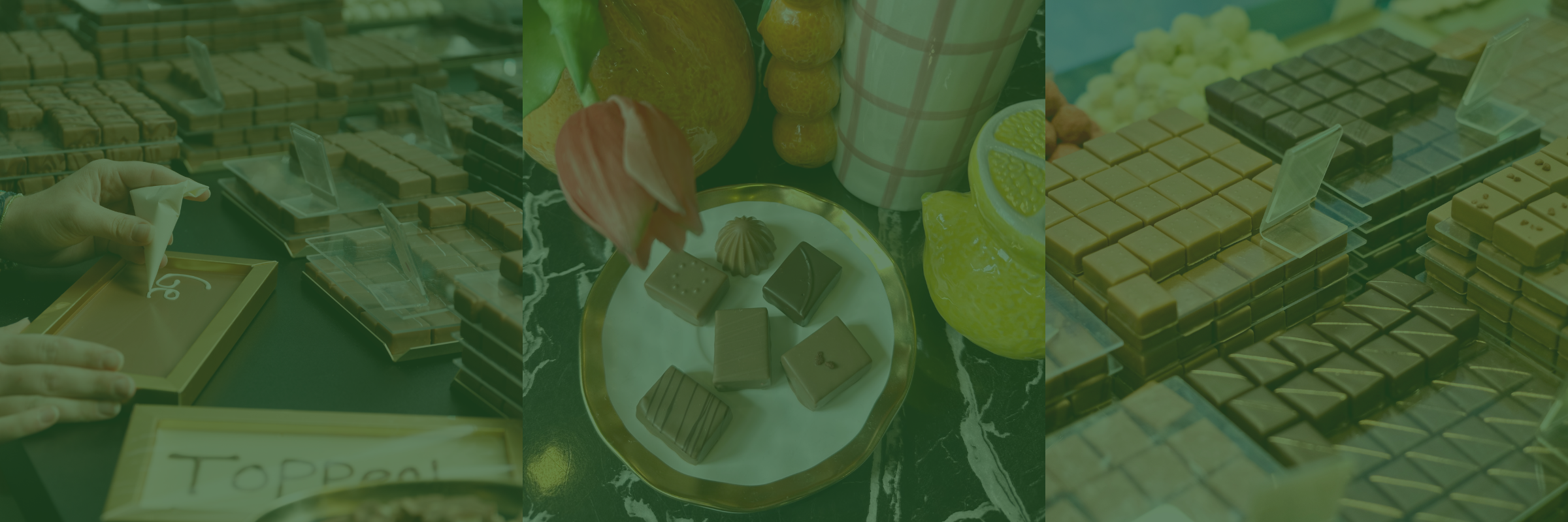 Chocolade — Teddy & Coco