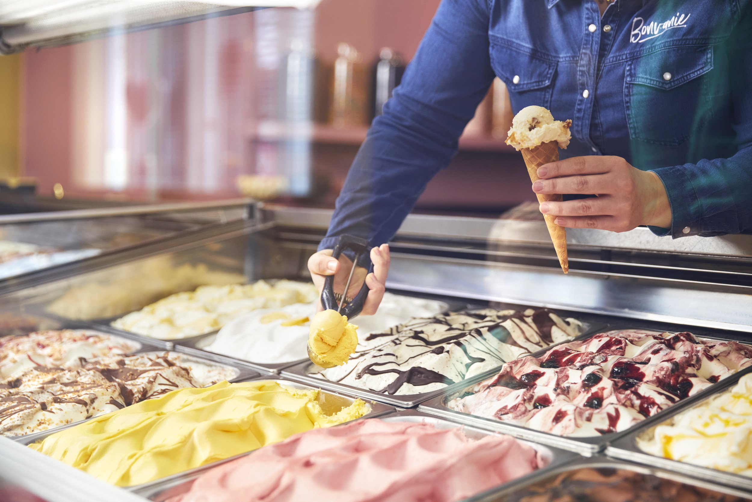 Ambachtelijk IJs — Teddy & Coco