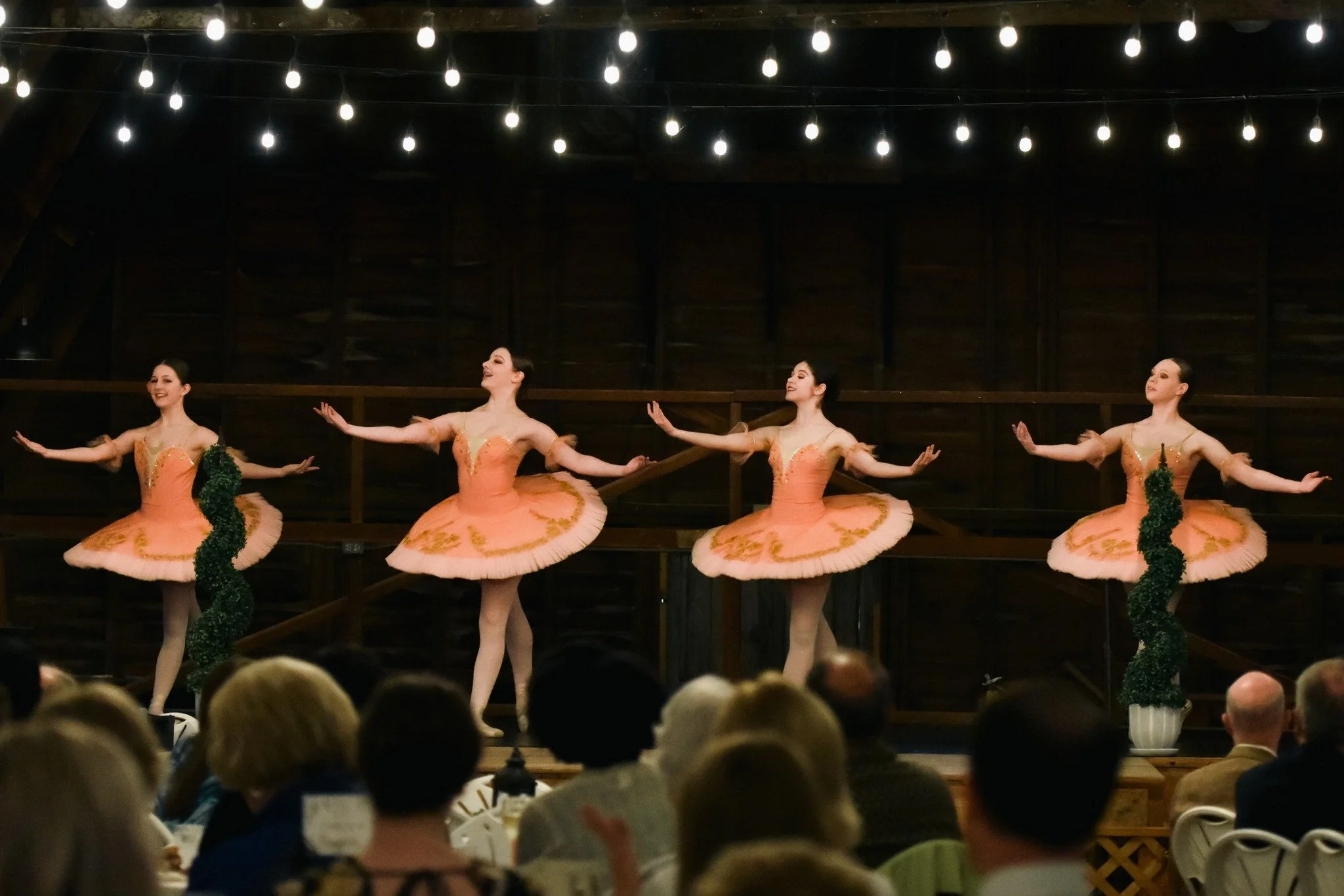 Ballet and Bubbly — Kingsport Ballet