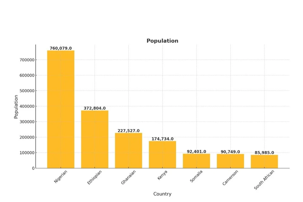 The African Immigrant Experience in America: Insights into Income ...